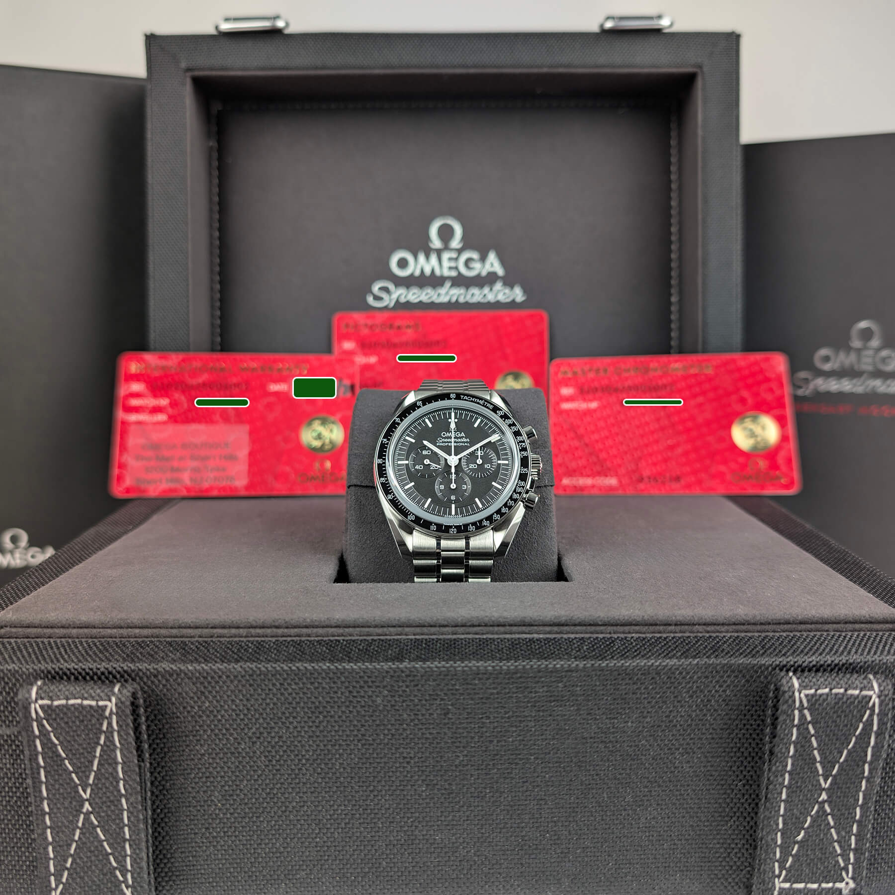 Omega Speedmaster Professional Moonwatch310.30.42.50.01.002